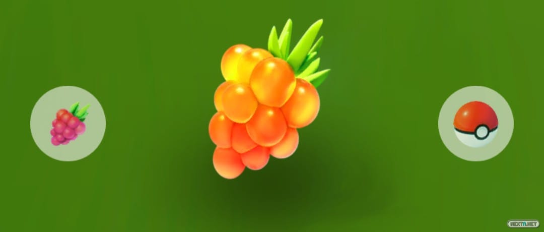Pokémon GO Bayas - Guía con todas las explicaciones